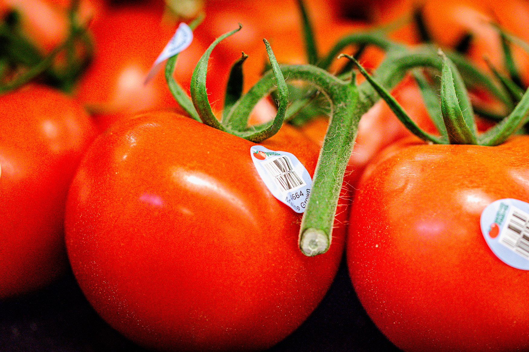 Wholesale - Roch's Fresh Foods